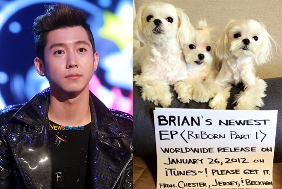 Brian Joo's puppies lend a paw to advertise his new album | allkpop