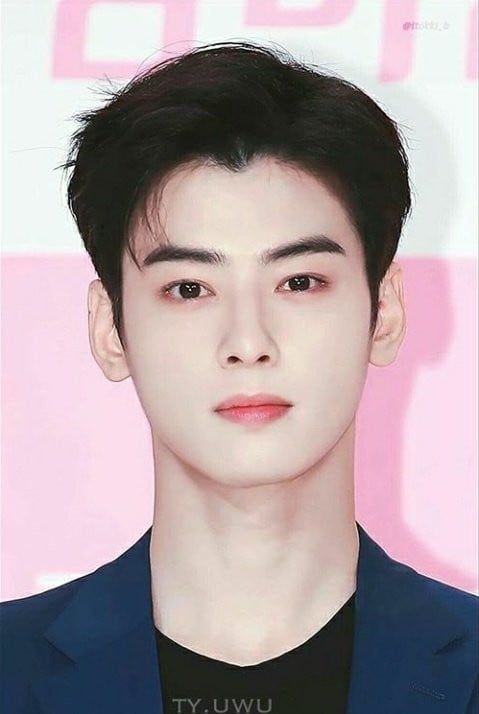 [pann] Cha Eunwoo And Jung Jaehyuns Average Face Allkpop