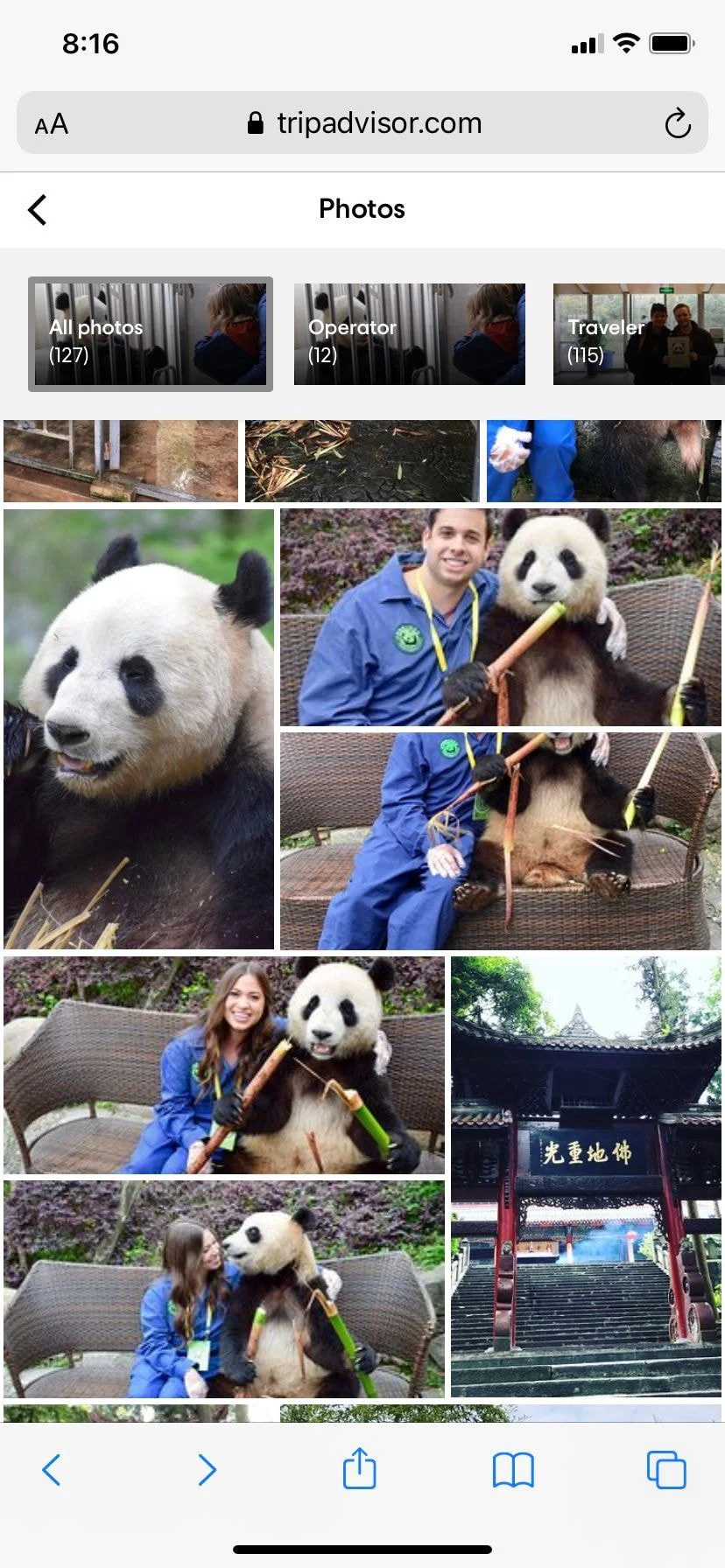 Netizens show numerous instances of celebrities with baby pandas and ... Netizens show numerous instances of celebrities with baby pandas and ...