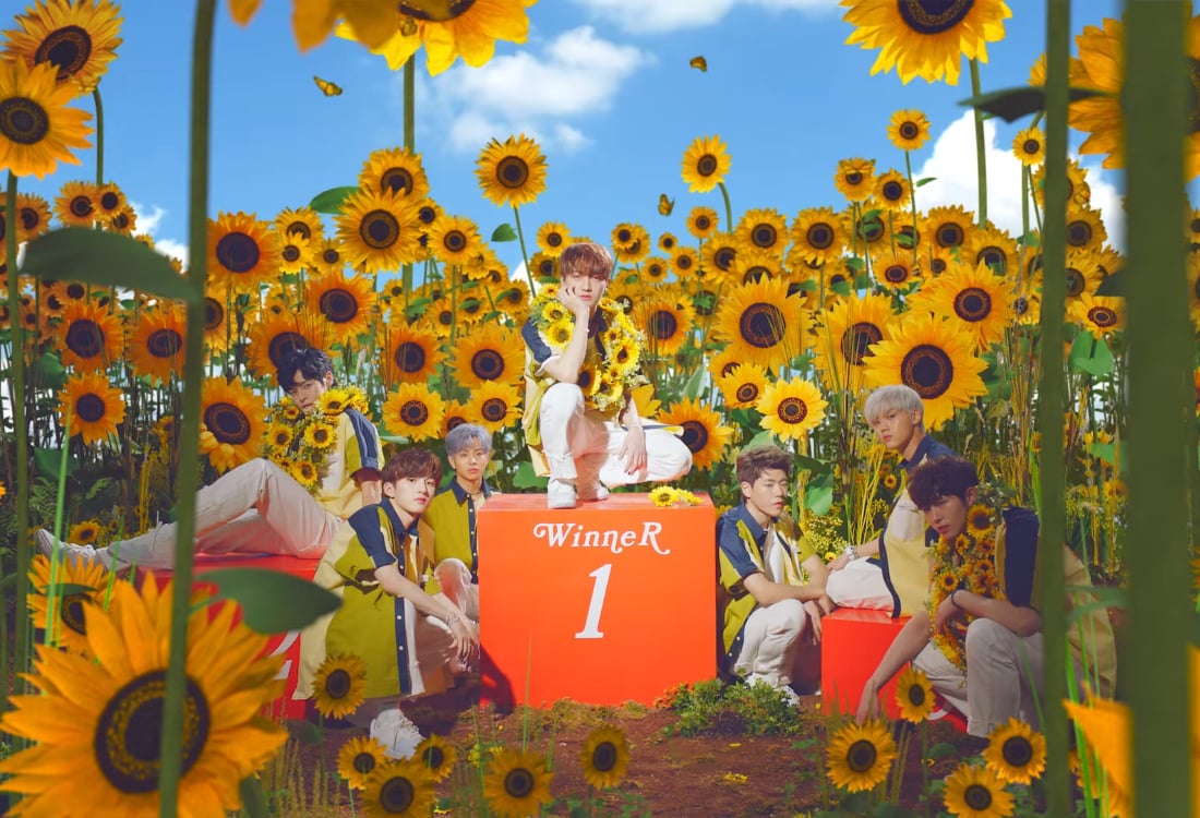 Ciipher makes their highly anticipated debut with 'I Like You' MV | allkpop