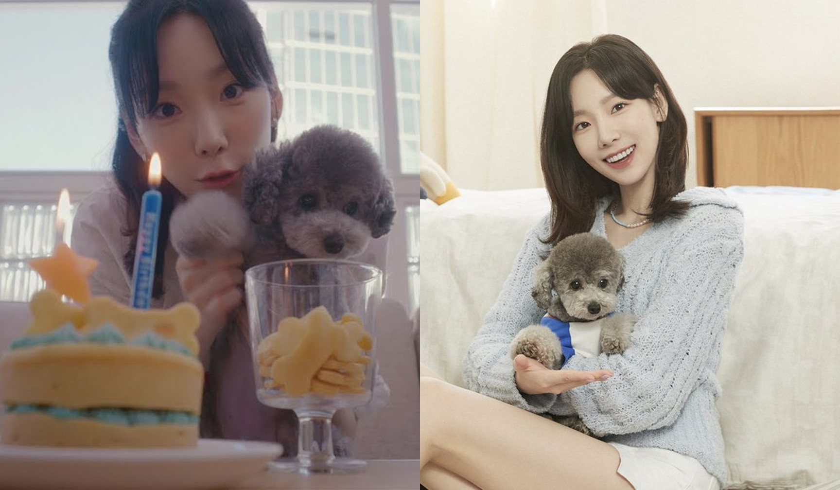 Girls' Generation's Taeyeon becomes a spokesperson for the pet brand ...