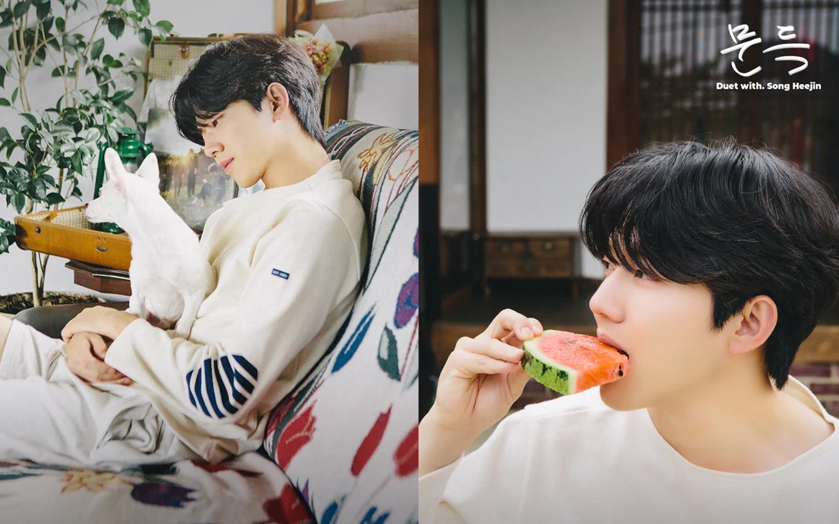 DAY6's Dowoon enjoys the last days of summer in the teasers for his ...