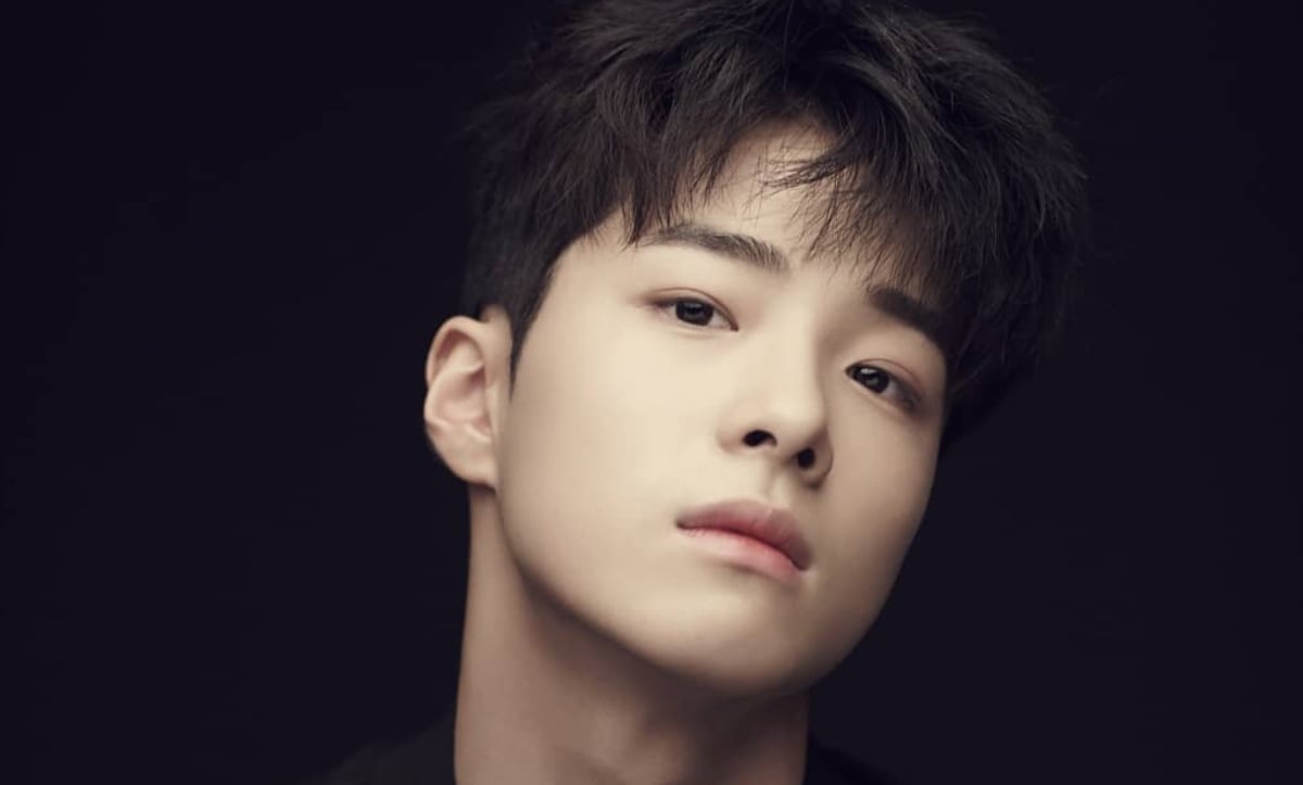21-year old actor Nam Da Reum confirms his mandatory military ...