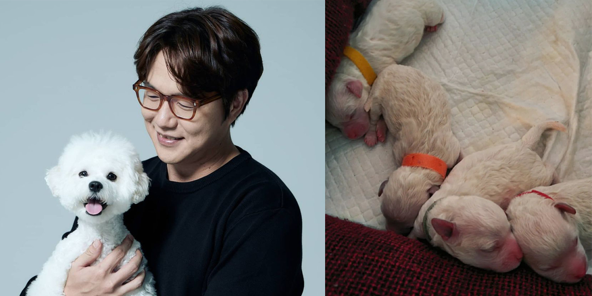 Singer Sung Si Kyung reveals his dog Dubu gave birth to four puppies ...