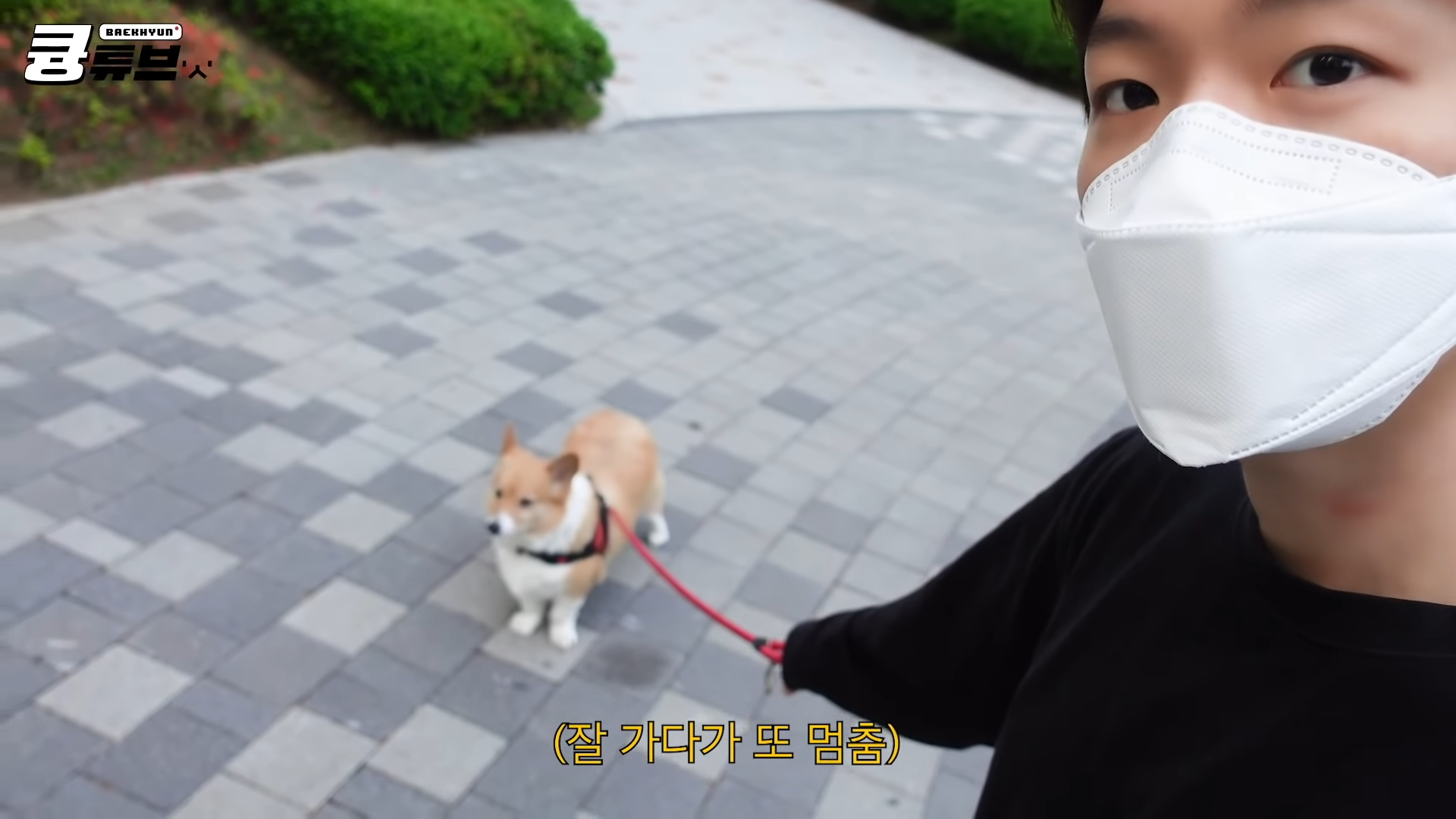 EXO's Baekhyun brings smiles to fans' faces with his recent Vlog update ...