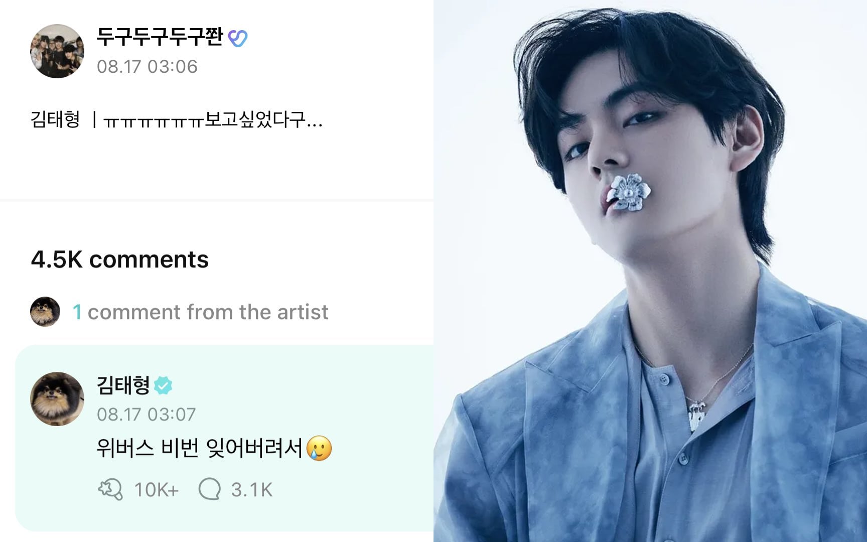 BTS's V reveals the hilarious reason why he wasn't on Weverse in a ...