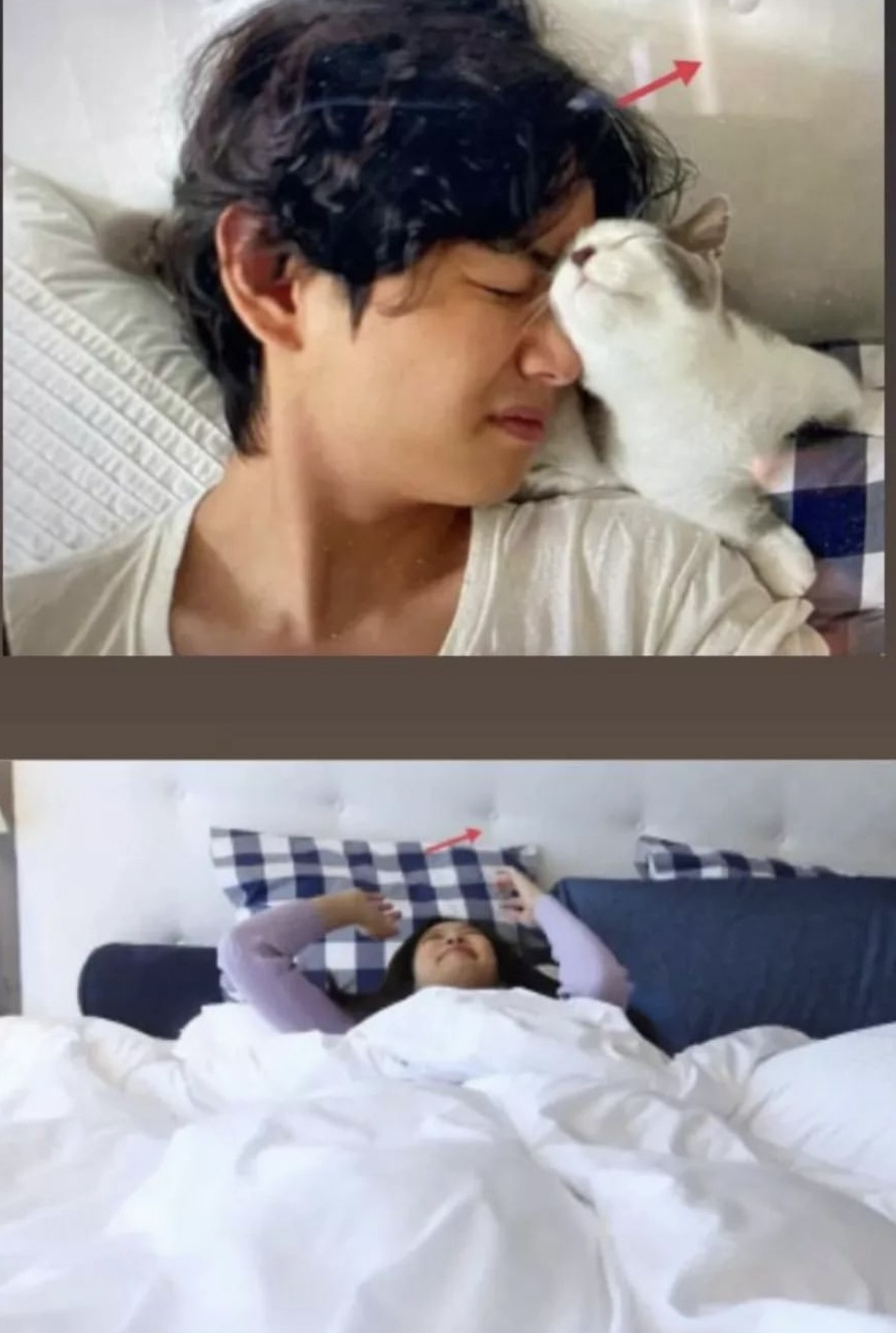 Netizens suspect that a photo of BTS's V snuggling with a cat was taken ... Netizens suspect that a photo of BTS's V snuggling with a cat was taken ...