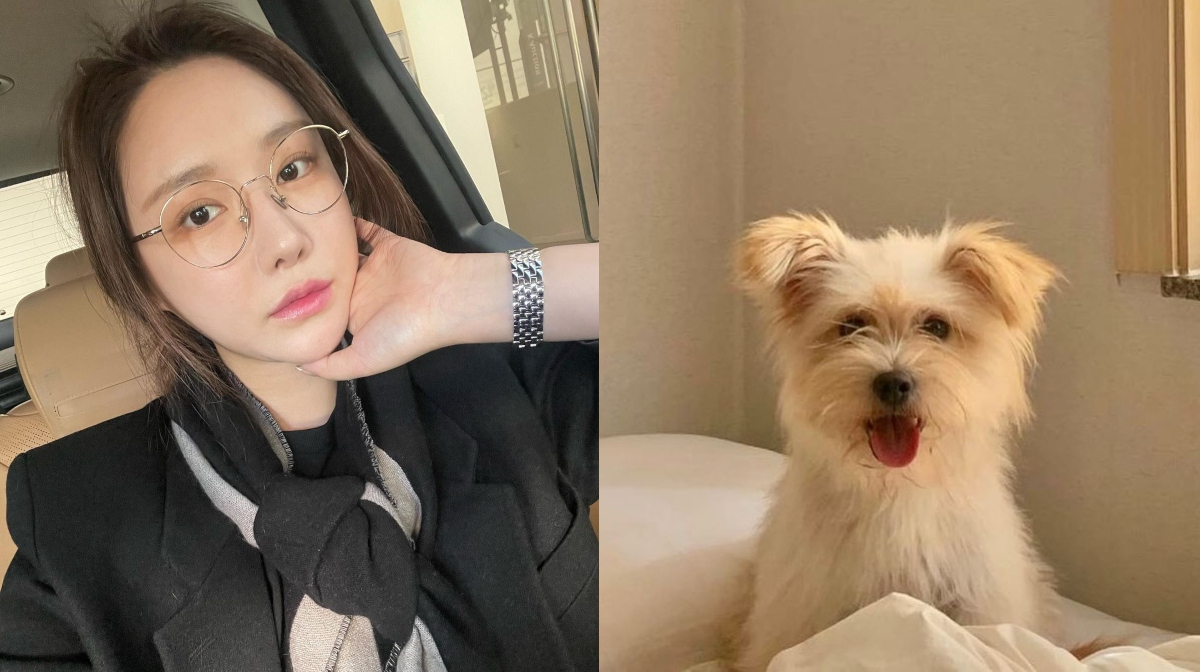 Brave Girls' Minyoung finds her lost dog after 7 hours thanks to one ...