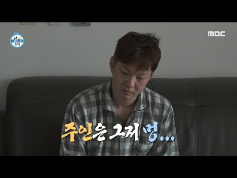 BTOB's Changsub reveals a day in the life of a beagle's father | allkpop