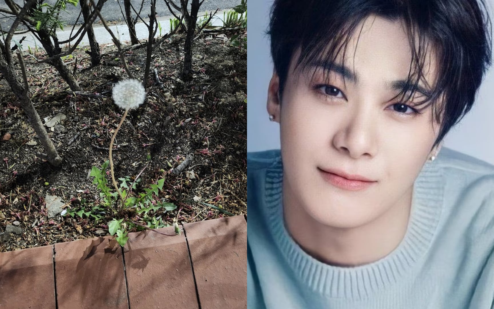 Fans Cherish Moonbin's Last Twitter Post Amidst Overwhelming Sadness ...