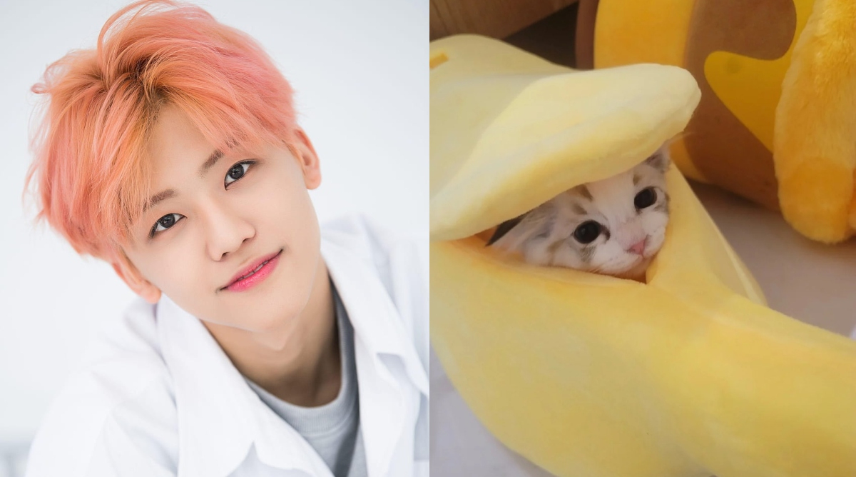 "My Luna", NCT's Jaemin opens an Instagram account for his cat | allkpop