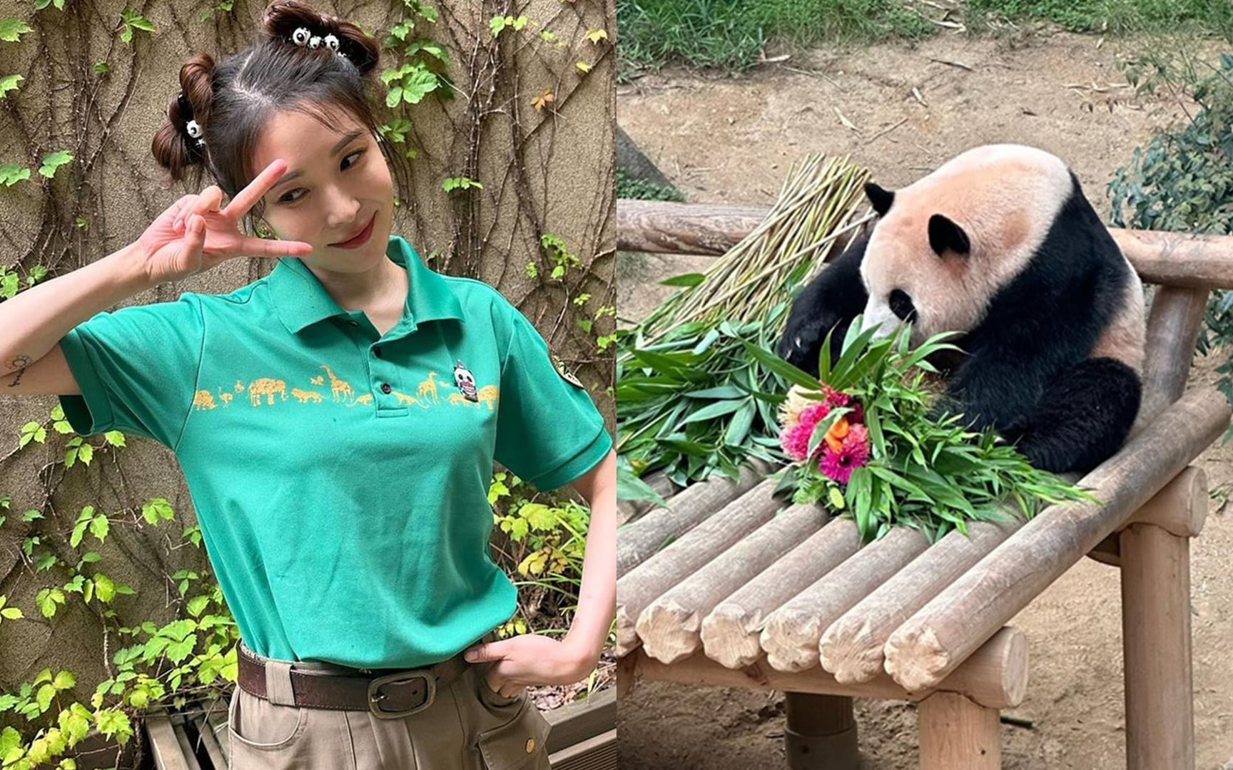 BoA meets Fu Bao, the most famous panda in South Korea | allkpop