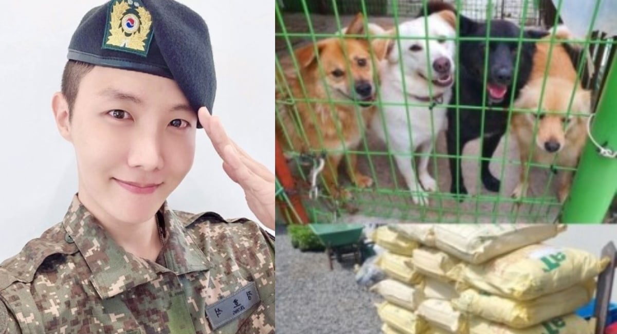 BTS's J-Hope revealed to be helping shelter for abandoned dogs with ...