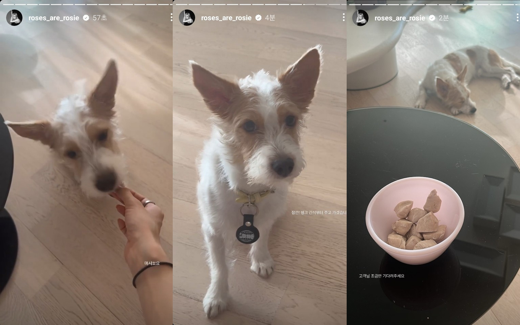 Fans are loving BLACKPINK Rose's latest Instagram updates with adorable ...