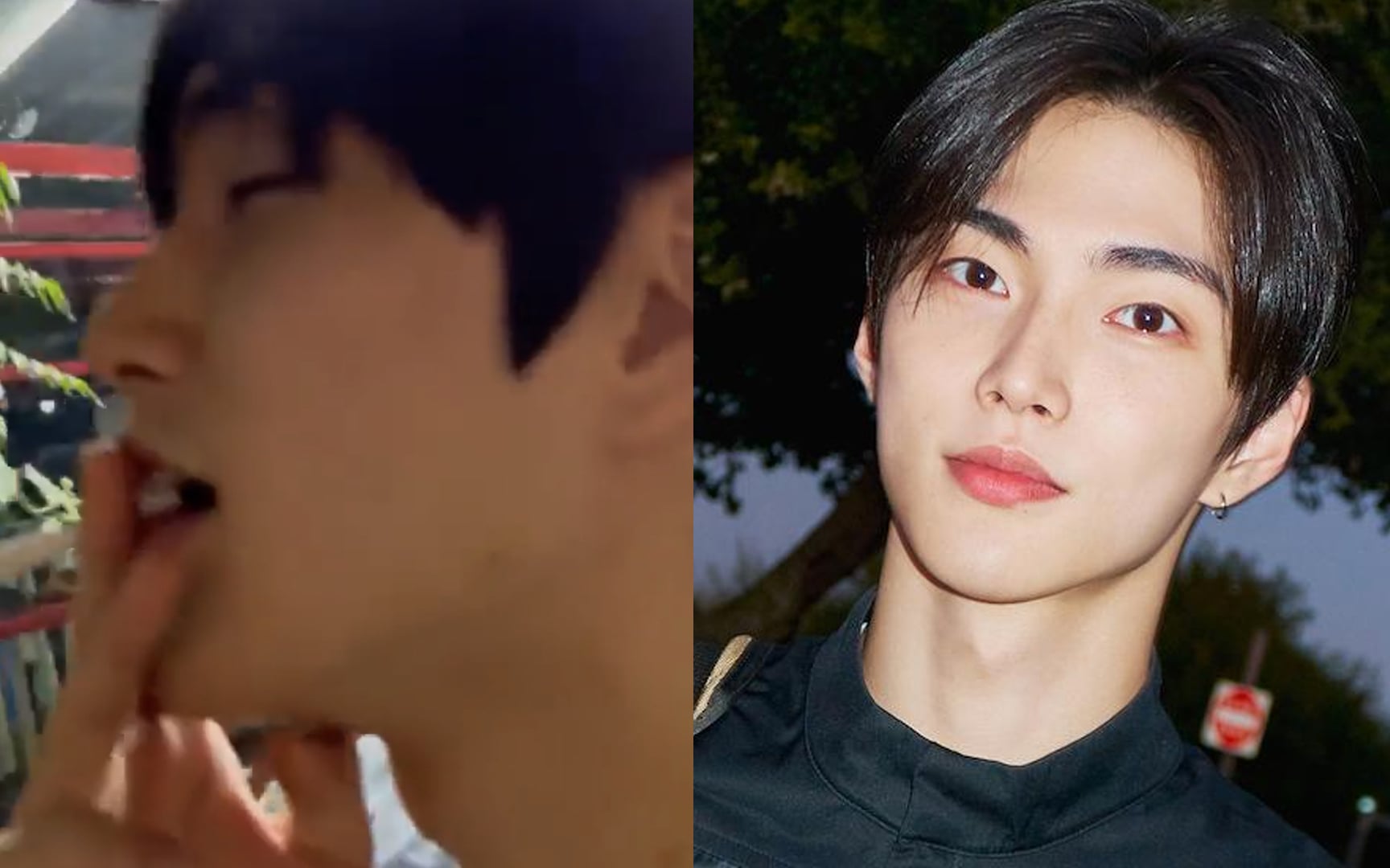 Seung Han's Instagram, Twitter & Facebook on IDCrawl