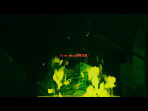 Heon Seo showcases his effortless vocal style in 'Blossom' MV | allkpop