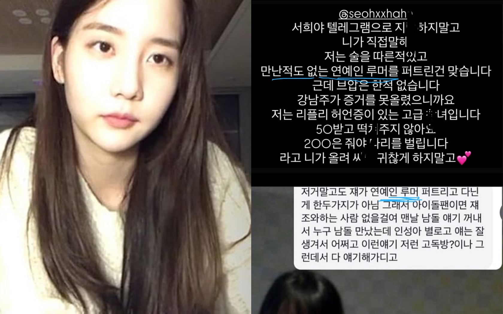 Netizen exposes Han Seo Hee for spreading false rumors about various ...