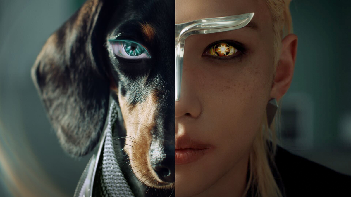 'Tamburins' partners up with Felix of Stray Kids for new 'Sunshine ...